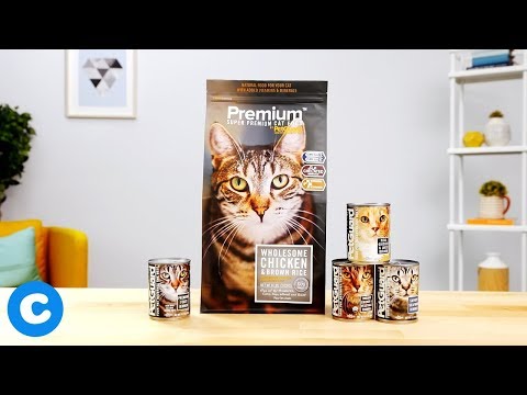 PetGuard Cat Food | Chewy