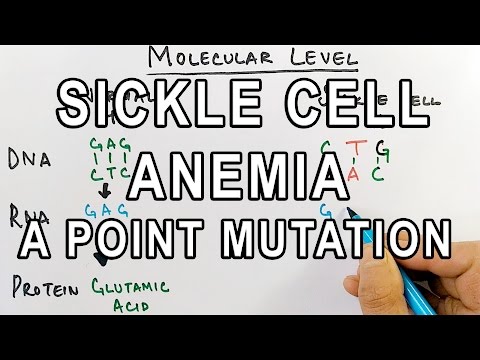 Sickle Cell Anemia | A Detailed Genetics