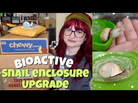 HUGE PET SNAIL CAGE UPGRADE+ HAULπ