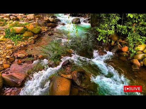 How Rivers Shape Landscapes Through Rhythms