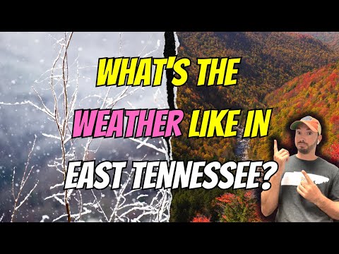 East Tennessee And All Four Seasons | Weather Guide For East TN