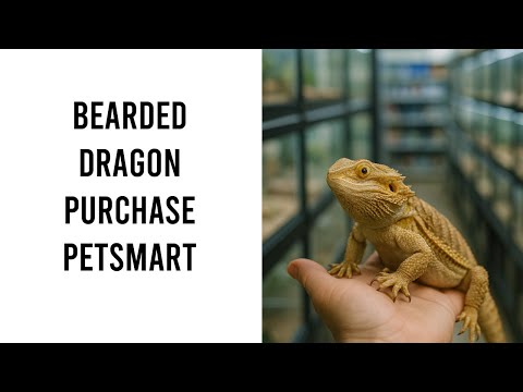 Buying A Bearded Dragon From Petsmart
