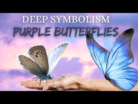 The Hidden Meaning Behind Purple Butterflies | Deep Symbolism