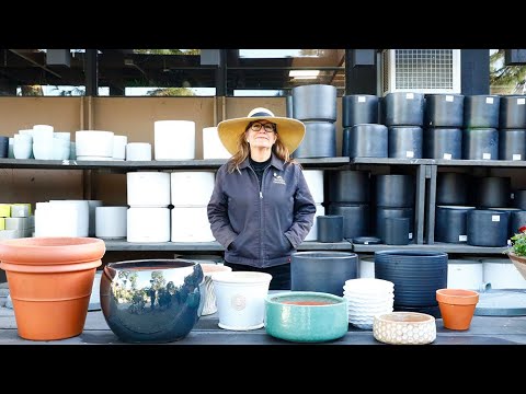 How to Choose The Perfect Pot for Your Outdoor and Indoor Plant