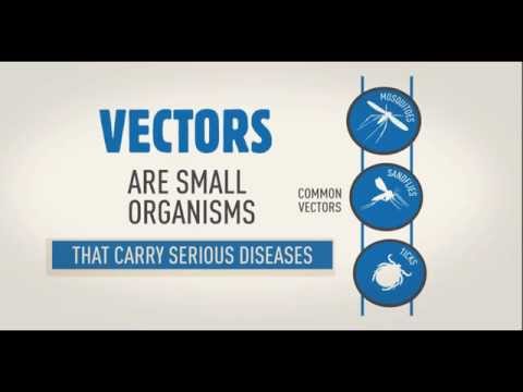 WHO Vector borne disease animation WHD2014