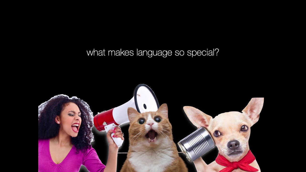 UCI Language Science Teaser