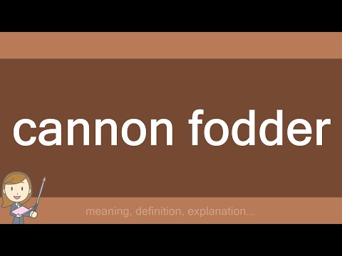 cannon fodder