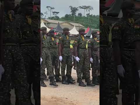 Insane Military Tactics That Actually Worked