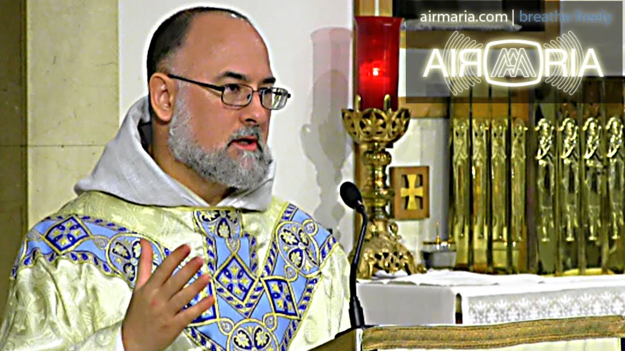 7 Joys of the Blessed Virgin Mary - Aug 26 - Homily - Fr Alan