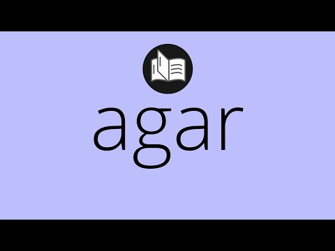 What AGAR means • Meaning of AGAR • What is the meaning of AGAR • agar MEANING • agar DEFINITION