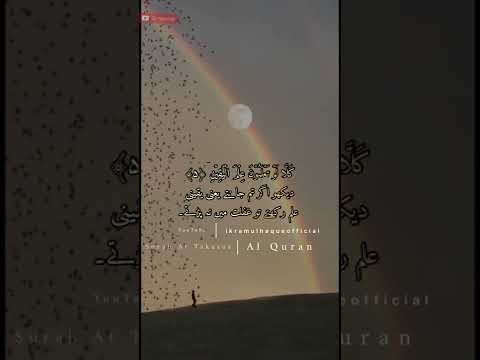Surah at takasur | islamic status #youtubeshorts