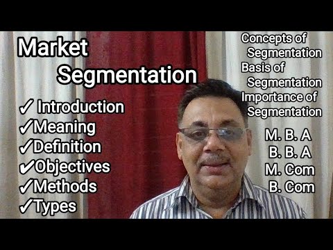 Market Segmentation||Meaning|Definition|Example, Marketing Management