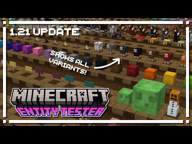 Entity Tester Minecraft Map