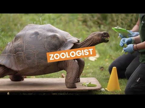 Discover Careers: Zoologist | Sortyourfuture