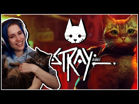Steam Community :: Stray