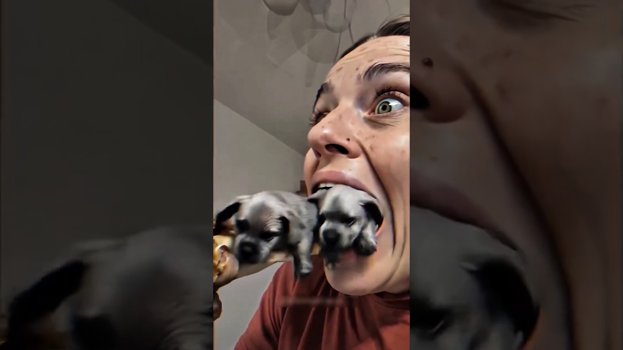 Im done scroll today 😂 #funny #memes #shorts