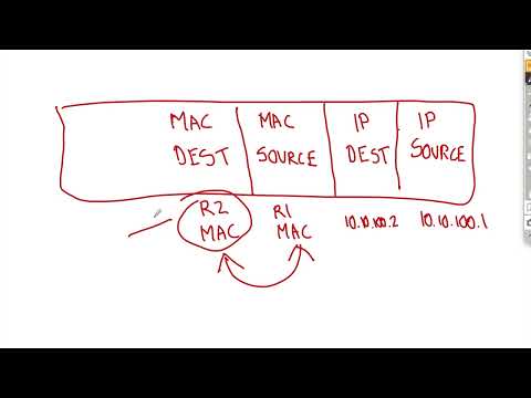 What is ARP?