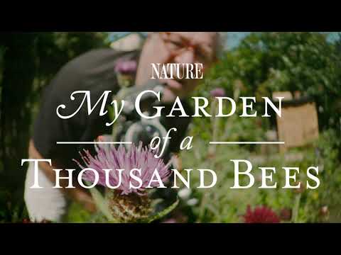 My Garden of a Thousand Bees | PBS Nature Trailer (2021)