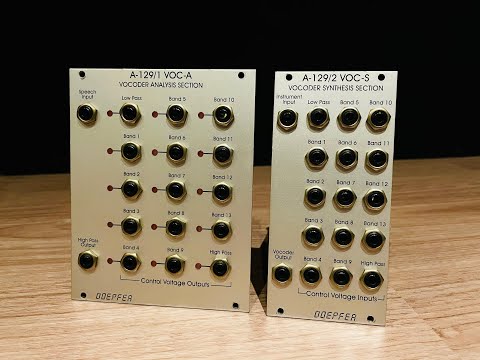 Doepfer A-129/1+2 Vocoder [RARE!] | Reverb