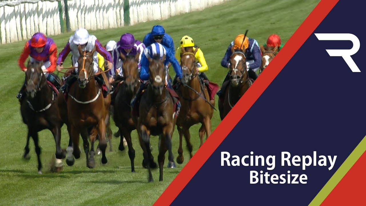 Newbury Lockinge Meeting - Racing TV