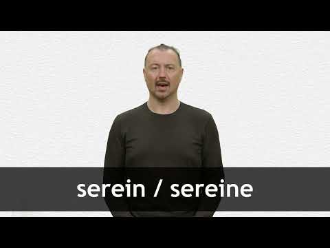 English Translation of “SEREIN” | Collins French-English Dictionary