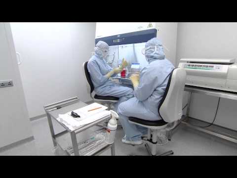 Prof. Timothy O'Brien, Director of REMEDI - The Centre for Cell Manufacturing Ireland