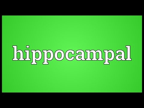 Hippocampal Meaning