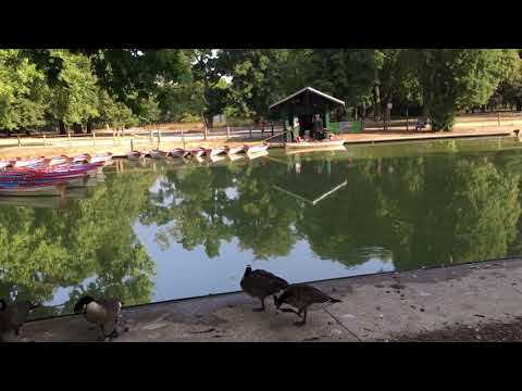 A beautiful lake. Two islands. Le Bois de Vincennes. Paris, France