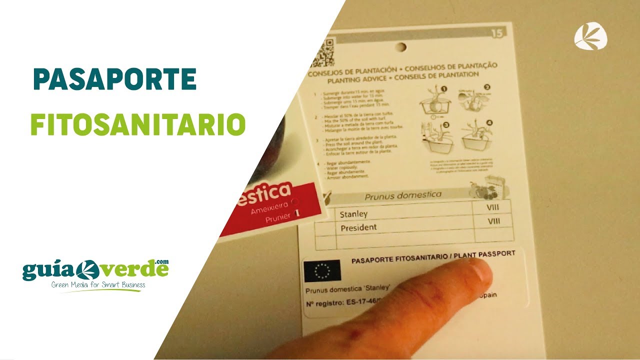 Pasaporte Fitosanitario