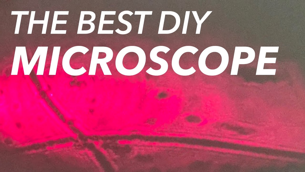 The Best DIY Microscope
