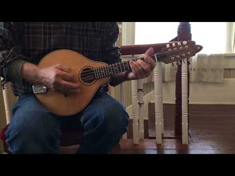 Beard Celtic Mandolin | Reverb