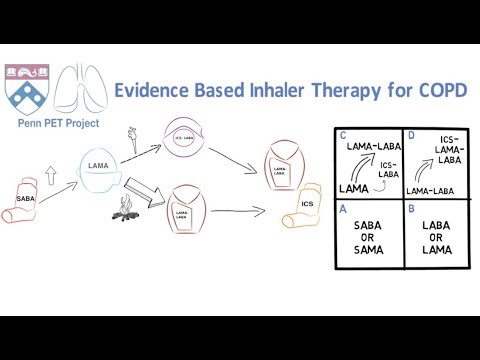 Evidence-Based Inhaler Therapy for COPD -- BAVLS
