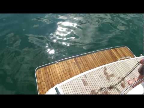 Platforma kąpielowa - Hydraulic Lift Swim Platform on Bavaria Sport 37