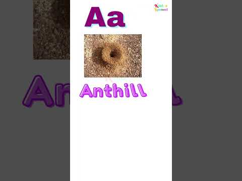 Words that start with letter A, A Words @KiddosKontent12 #kidslearning #preschool #alphabets