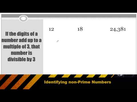 Prime Numbers