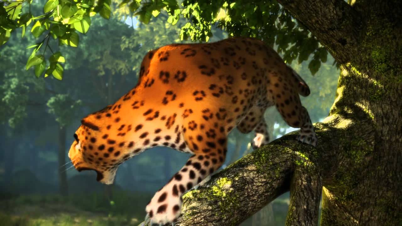 Polymorph Software - Demoreel 2012