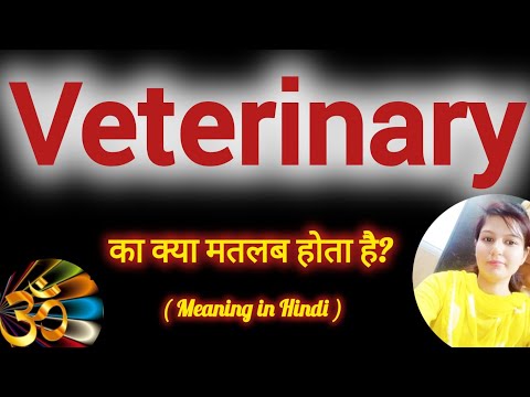 Veterinary meaning in Hindi Veterinary ko hindi m kya khte h Veterinary ka matlb hindi mai kya hai