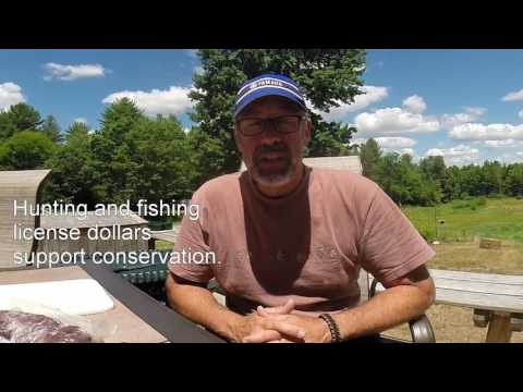 Why Eat Wild Game?