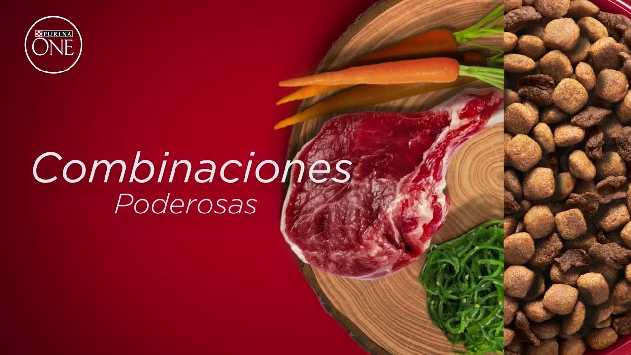 Prueba Purina® One®