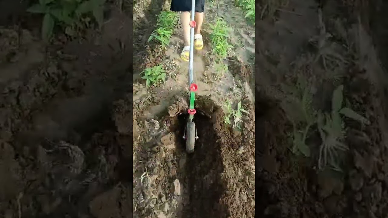 Rural Farmer #6187 #countrylife #farmingtraditions