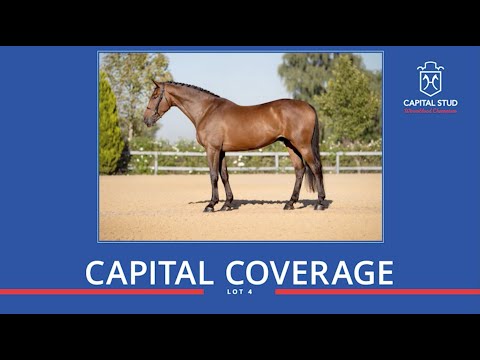 Lot 4 Capital Coverage