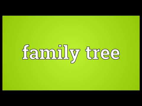 Family tree Meaning