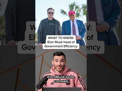 WHAT TO KNOW ABOUT DOGE: Elon Musk head of government efficiency