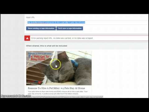 Using Facebook Debugger
