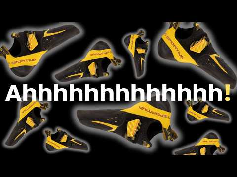 Why is everyone WEARING THIS SHOE!?