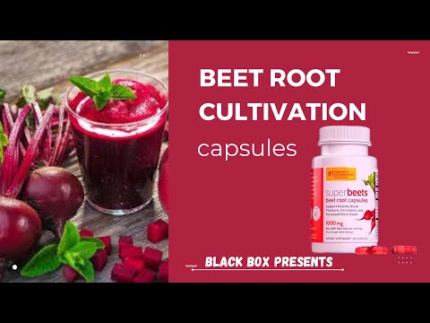 Amazing Healthy Benefits Of HumanN SuperBeets Beet Root Capsules