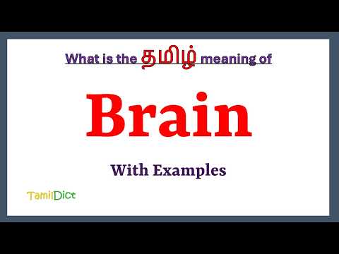 Brain Meaning in Tamil | Brain in Tamil | Brain in Tamil Dictionary |