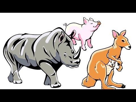 Wild Animals Coloring Pages for Kids | Digital Coloring