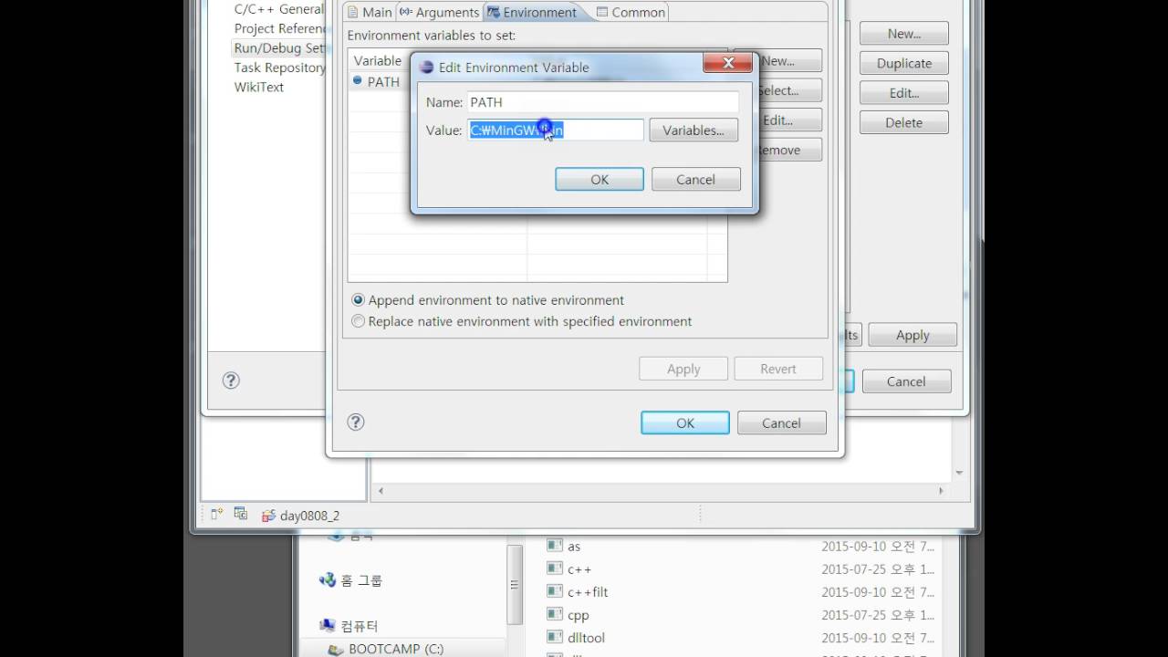 Eclipse CDT Run/Debug Settings