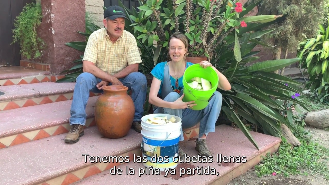 LECHUGUILLA - another AGAVE ferment (Jalisco, Mexico)